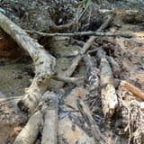 Red Bluff, Mississippi - 446 Reviews, Map | AllTrails
