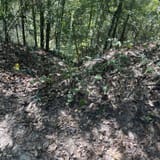 Red Bluff, Mississippi - 446 Reviews, Map | AllTrails