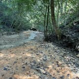 Red Bluff, Mississippi - 446 Reviews, Map | AllTrails