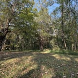 Red Cedar Trail, Illinois - 545 Reviews, Map | AllTrails