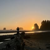 Second Beach, Washington - 2,138 Reviews, Map | AllTrails