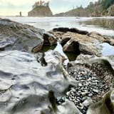 Second Beach, Washington - 2,138 Reviews, Map | AllTrails