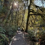 Twin Falls Trail, Washington - 12,238 Reviews, Map | AllTrails