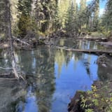 Fenland Trail, Alberta, Canada - 1,007 Reviews, Map | AllTrails