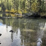 Fenland Trail, Alberta, Canada - 1,012 Reviews, Map | AllTrails