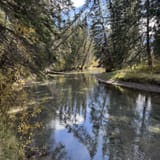 Fenland Trail, Alberta, Canada - 1,007 Reviews, Map | AllTrails