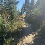 String Lake Trail, Wyoming - 2,602 Reviews, Map | AllTrails