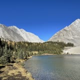 Rummel Lake Trail, Alberta, Canada - 2,130 Reviews, Map | AllTrails