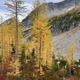 Black Peak via Wing Lake Trail, Washington - 402 Reviews, Map | AllTrails