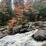 Basin Cascade Trail, New Hampshire - 2,465 Reviews, Map | AllTrails