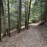 Turkey Path, Pennsylvania - 762 Reviews, Map | AllTrails
