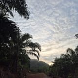 Bukit Penarikan, Negeri Sembilan, Malaysia - 467 Reviews, Map | AllTrails
