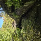 Hideout Hollow Trail, Arkansas - 578 Reviews, Map | AllTrails