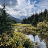 Edworthy Falls via Elbow Lake Trail, Alberta, Canada - 2,334 Reviews ...