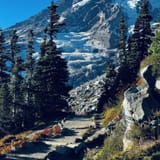 Panorama Point via Skyline Trail, Washington - 6,439 Reviews, Map ...