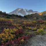 Panorama Point via Skyline Trail, Washington - 6,439 Reviews, Map ...