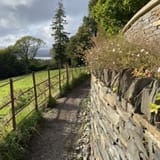 Orrest Head Circular, Cumbria, England - 1,758 Reviews, Map | AllTrails