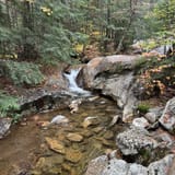 Basin Cascade Trail, New Hampshire - 2,465 Reviews, Map | AllTrails