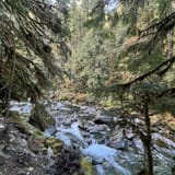 Staircase Rapids Loop, Washington - 3,210 Reviews, Map | AllTrails
