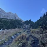 Sarrail Ridge via Rawson Lake Trail, Alberta, Canada - 3,706 Reviews ...