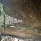 Whispering Cave - Cedar Falls Loop, Ohio - 1,094 Reviews, Map | AllTrails