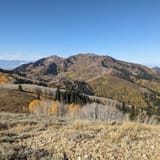 Desolation Lake via Mill D North Fork and Desolation Trail, Utah ...