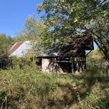 Goat Bluff Trail, Arkansas - 130 Reviews, Map | AllTrails