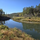 Quechee Gorge Trail, Vermont - 1,229 Reviews, Map | AllTrails