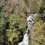 Whiteoak Canyon and Cedar Run Trail Loop, Virginia - 2,957 Reviews, Map ...