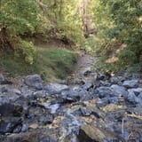 Maple Canyon to Whiting Campground, Utah - 607 Reviews, Map | AllTrails