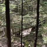 Salt Run, Ohio - 1,515 Reviews, Map | AllTrails
