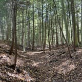 Salt Run, Ohio - 1,515 Reviews, Map | AllTrails