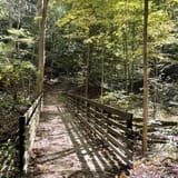 Salt Run, Ohio - 1,515 Reviews, Map | AllTrails