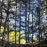 Salt Run, Ohio - 1,515 Reviews, Map | AllTrails