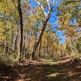 High Rock, Maryland - 491 Reviews, Map | AllTrails