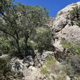 Smith Spring and Manzanita Spring Loop, Texas - 1,616 Reviews, Map ...