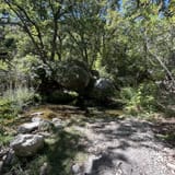 Smith Spring and Manzanita Spring Loop, Texas - 1,616 Reviews, Map ...