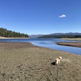 Sagehen Creek Loop, California - 1,097 Reviews, Map | AllTrails