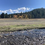 Sagehen Creek Loop, California - 1,103 Reviews, Map | AllTrails