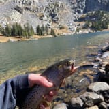 Timber Lake Trail, Colorado - 712 Reviews, Map | AllTrails