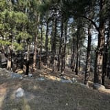 Mount Rushmore and Presidential Trail Loop, South Dakota - 2,480 ...