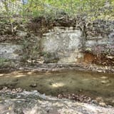 Saunders Springs Reservoir Loop, Kentucky - 132 Reviews, Map | AllTrails