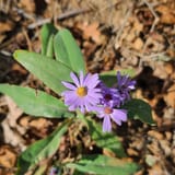 Cheyenne Mountain via Talon and Dixon Trail, Colorado - 819 Reviews ...