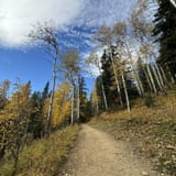Fullerton Loop Trail, Alberta, Canada - 4,376 Reviews, Map | AllTrails