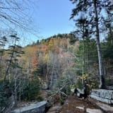 Champney Falls Trail, New Hampshire - 1,785 Reviews, Map | AllTrails