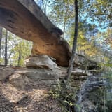 Princess Arch Trail, Kentucky - 1,534 Reviews, Map | AllTrails