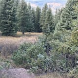 Shrine Ridge Trail, Colorado - 3,617 Reviews, Map | AllTrails