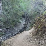 Murphy Ranch Trail, California - 4,120 Reviews, Map | AllTrails