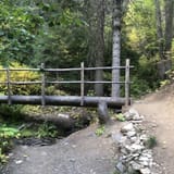 Mount Kit Carson Trail, Washington - 1,052 Reviews, Map | AllTrails