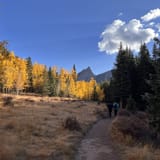 The Crags Trail, Colorado - 4,232 Reviews, Map | AllTrails